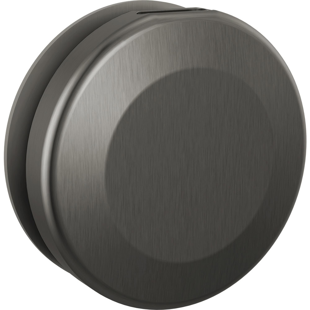 DELTA STEAMSCAPE CLASSIC SYSTEM Round Steam Head