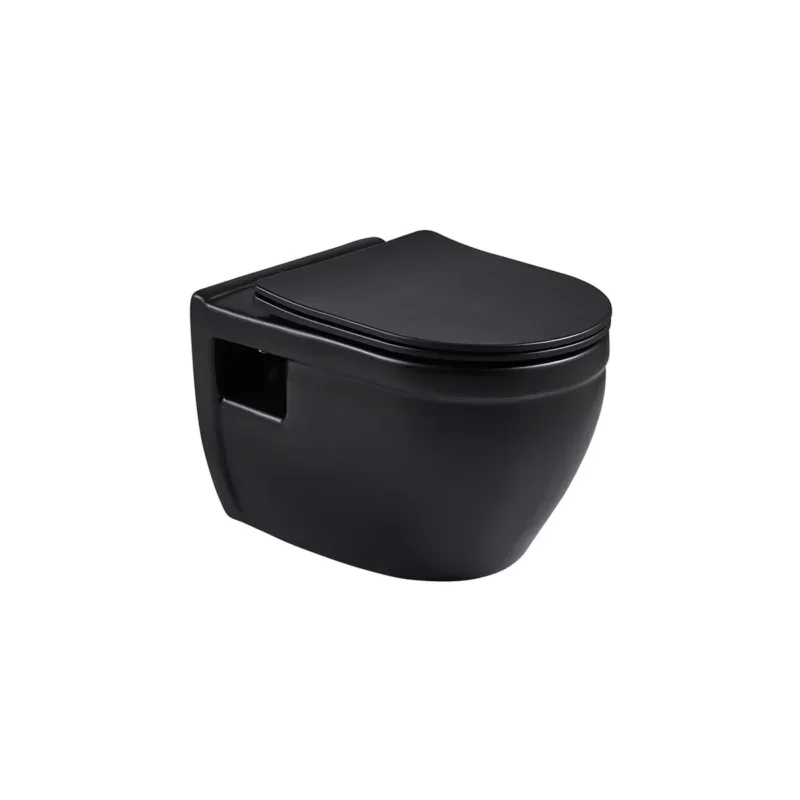 Agua Canada TIGUANE Wall mounted, dual-flush, toilet