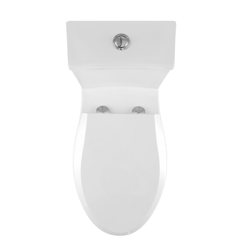 Neptune Canada Prague 4.1/6L Dual Flush Elongated One-Piece Toilet in White