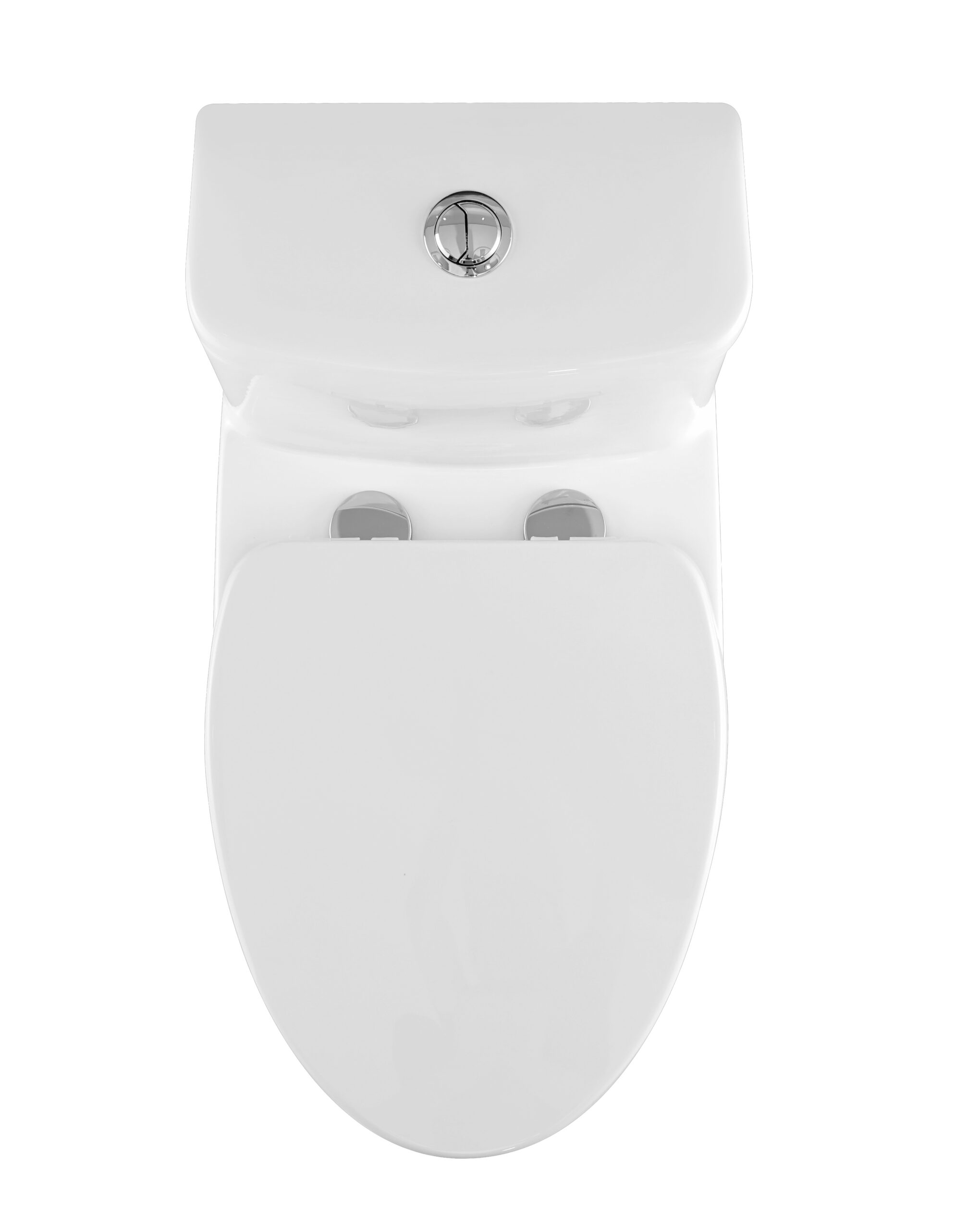 Neptune Canada Zen 4.1/6L Dual Flush Elongated One-Piece Toilet in White