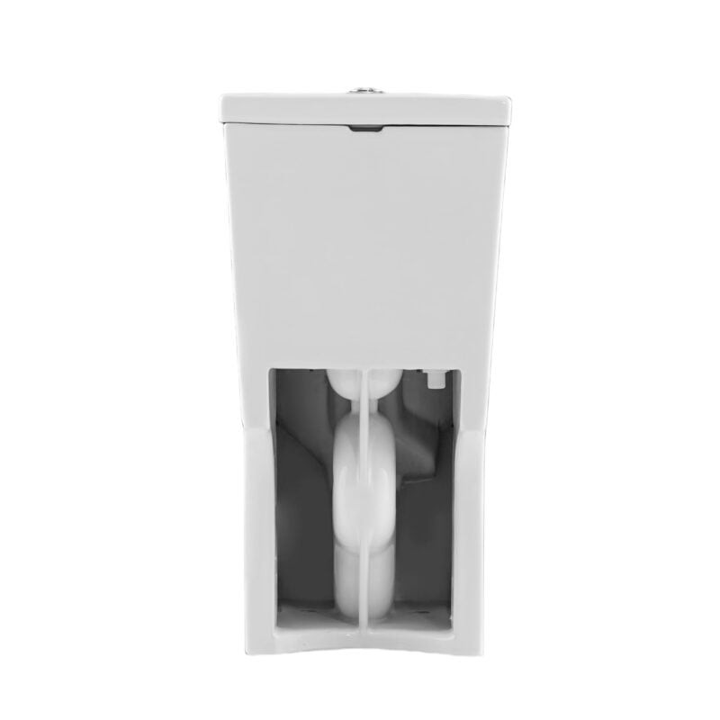 Neptune Canada Prague 4.1/6L Dual Flush Elongated One-Piece Toilet in White